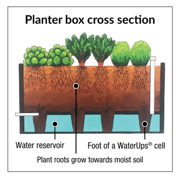 Water Wicking! - Flexi Garden Frames