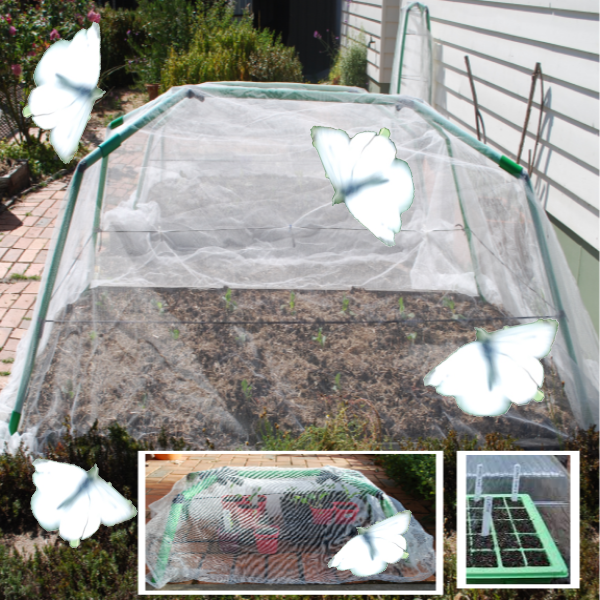 Time to sow Autumn seeds. - Flexi Garden Frames