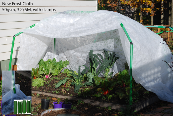 Potato onions. - Flexi Garden Frames