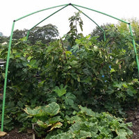 Fruit Tree Netting - Flexi Garden Frames