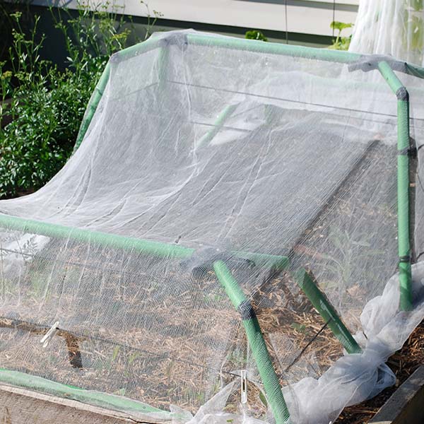 Protecting Seedlings - Flexi Garden Frames