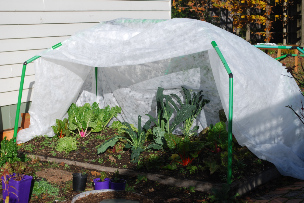 Tree frames - Flexi Garden Frames