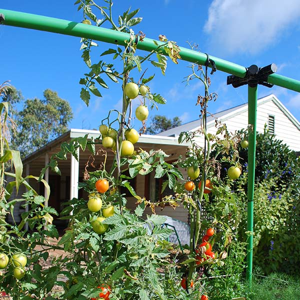 Climbing Plants - Flexi Garden Frames