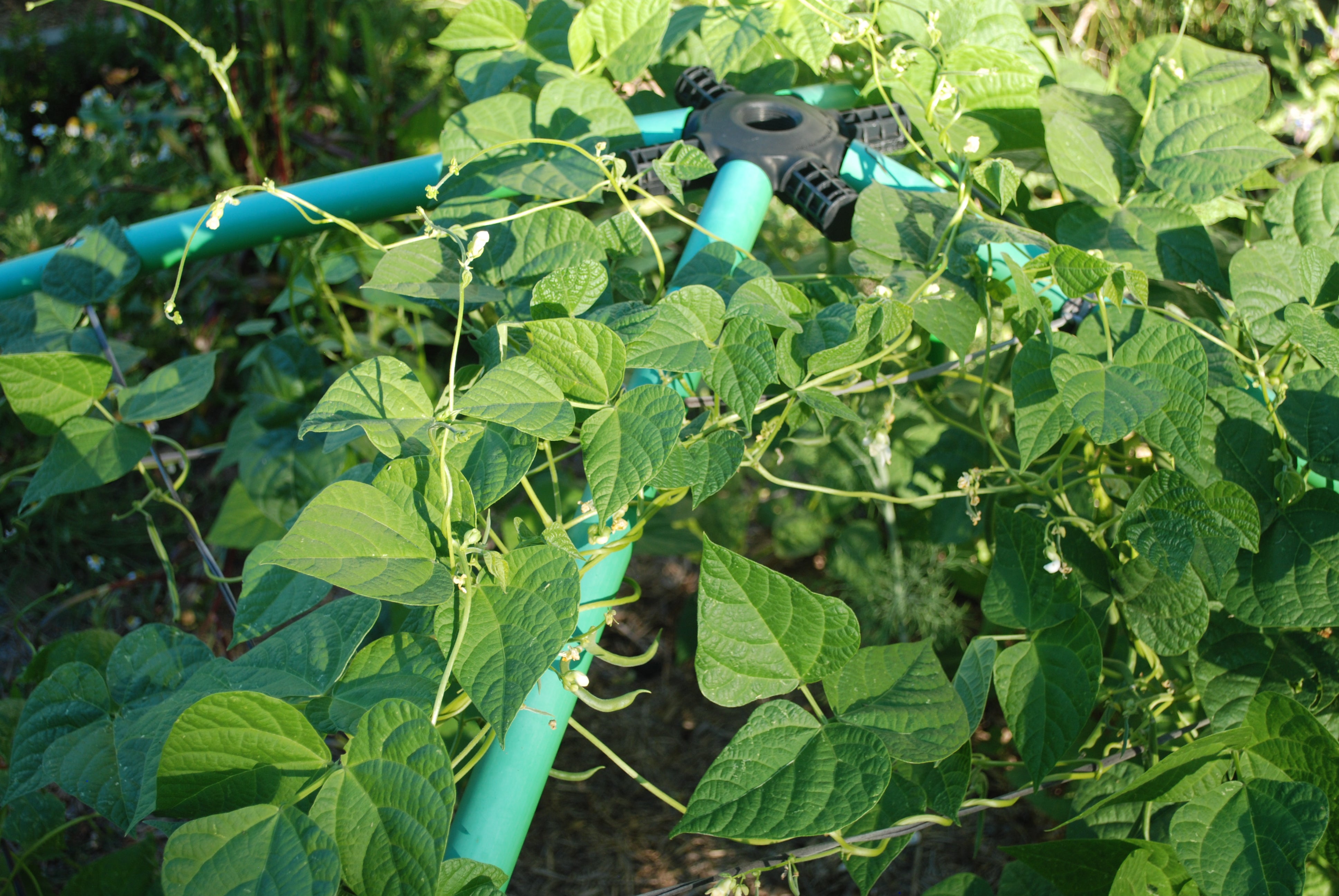 Flexi Garden Chunky Frame - Flexi Garden Frames