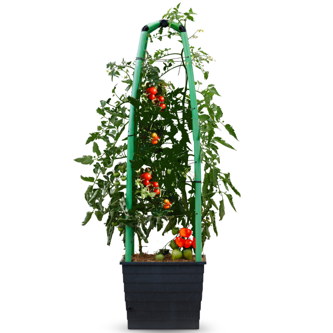 Garden Frames - Flexi Garden Frames